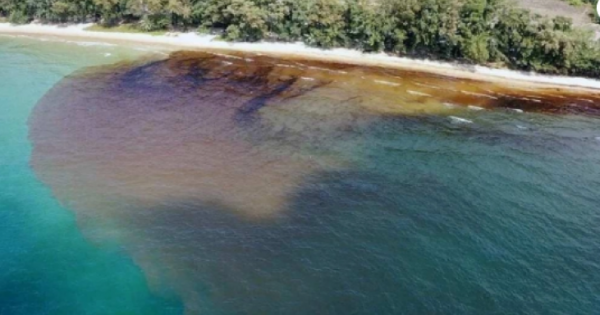 Alanya'da deniz bir anda siyaha büründü